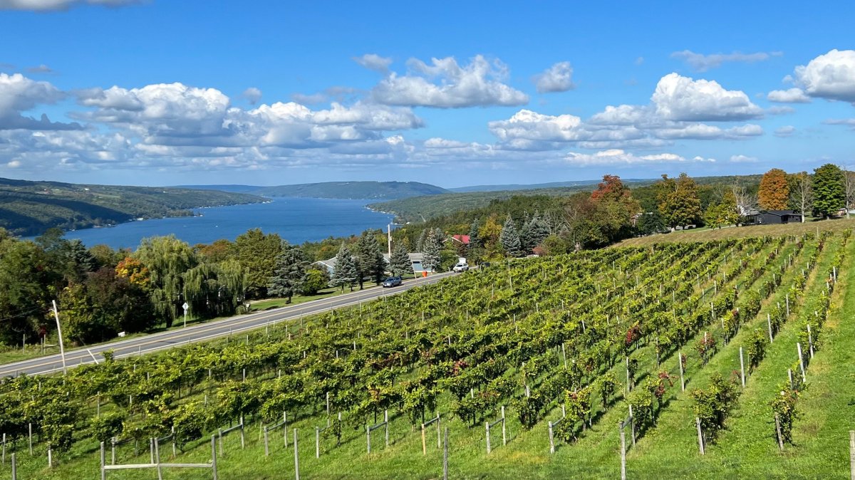 Top 5 Wineries on Keuka Lake – Keuka Cove